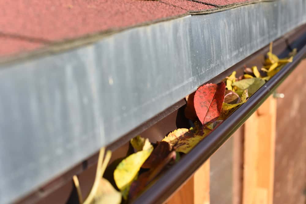 DIY Gutter Cleaning in Buchanan County | Heritage My Home